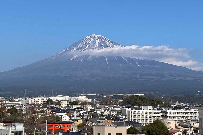Shiraito Falls and Mt.Fuji Heritage Centre /C-NG - An In-Depth Look at the Tour Experience