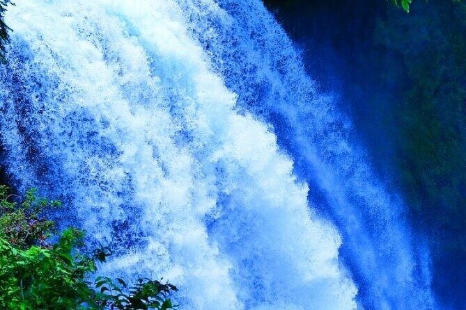 Shiraito Falls, Sengen Taisha, World Heritage Centre Guided Van - A Closer Look at the Itinerary