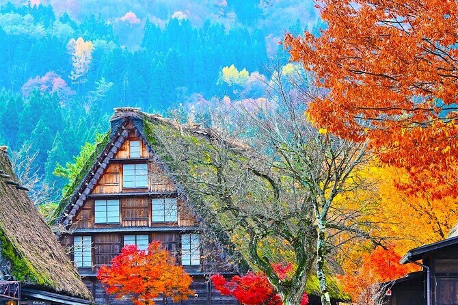 Shirakawa-go and Hida-Takayama Private Day Trip from Nagoya - Introduction