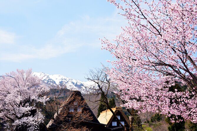 Shirakawa-go from Takayama/Nagoya One day Bus ticket - Who Is This Tour Best For?
