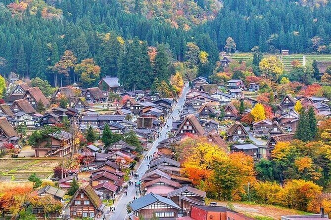 Shirakawa-go, Hida Takayama Day and Old Town Tour from Nagoya - What Do Travelers Say?