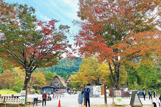 Shirakawa Ono Gifu Bus Tour Experience - Key Points
