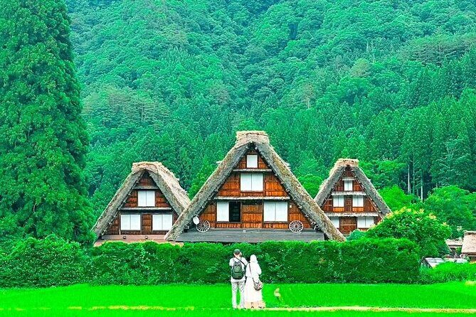 Shirakawa Ono Gifu Bus Tour Experience - Who Will Love This Tour?