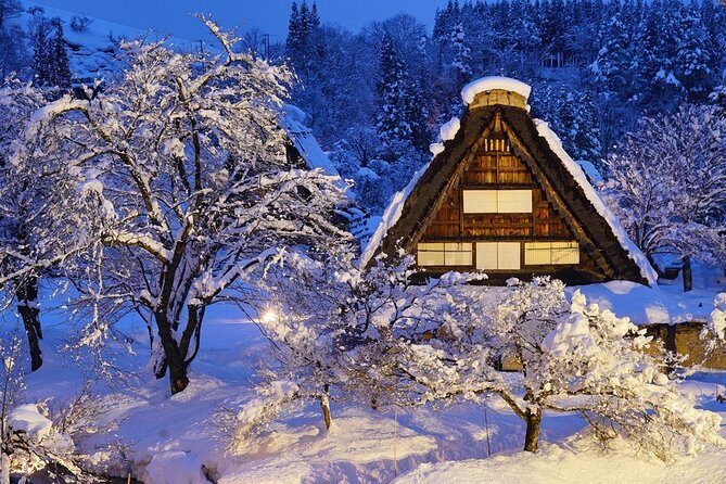 Shirakawago All Must-Sees Private Chauffeur Tour with a Driver (Takayama DEP.) - Key Points