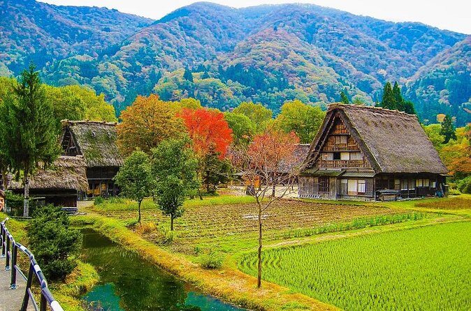 Shirakawago and Takayama 2 Days Tour from Nagoya - Who Should Consider This Tour?