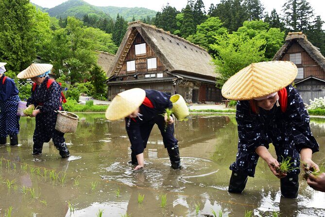 Shirakawago Day Trip: Government Licensed Guide & Vehicle from Takayama - Introduction
