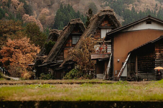 Shirakawago & Kanazawa from Kanazawa - Key Points