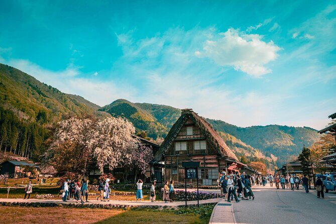 Shirakawago & Kanazawa from Kyoto by bullet train - Who Will Enjoy This Tour?
