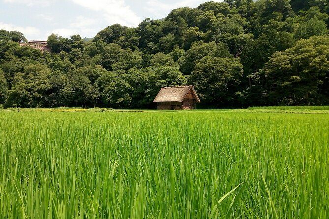 Shirakawago & Kanazawa from Kyoto by bullet train - Final Thoughts