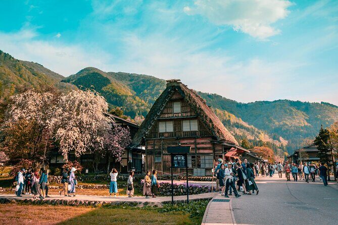 Shirakawago & Kanazawa from Osaka by bullet train - Key Points