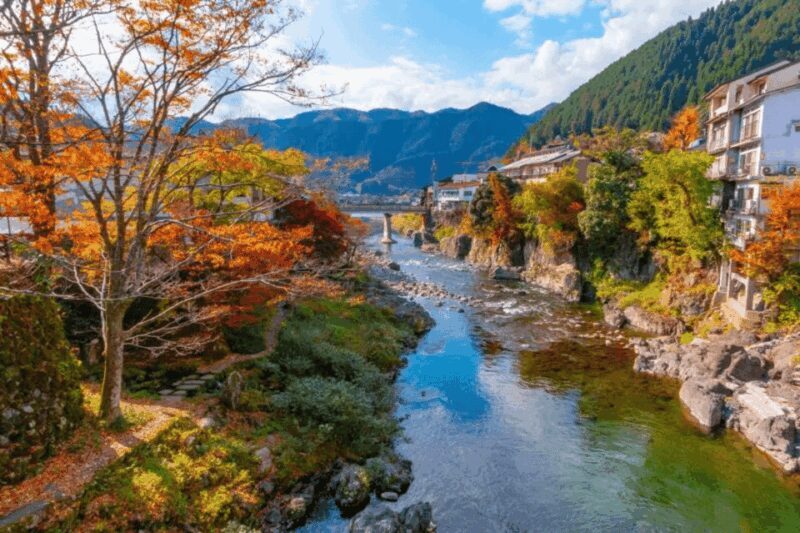 Shirakawago&HidaTakayama&GujoHachiman 1 Day Tour from Nagoya - Who Should Consider This Tour?