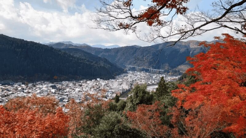 Shirakawago&HidaTakayama&GujoHachiman 1 Day Tour from Nagoya - FAQ