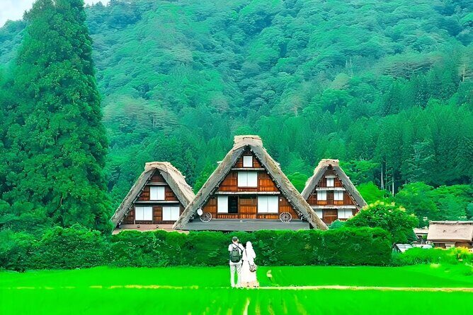 Shiroyama Shirakawa-go Day Trip from Nagoya - Key Points