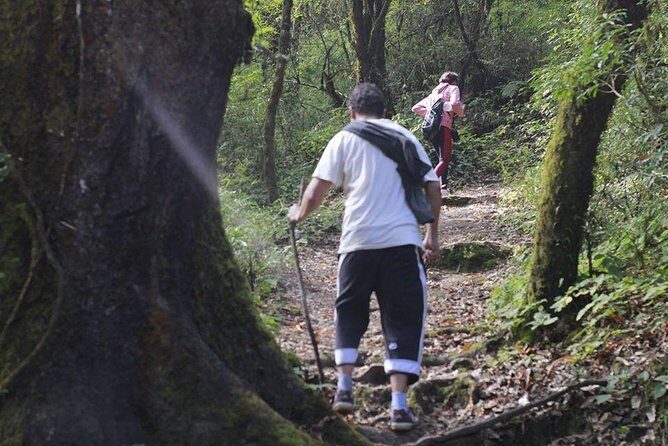 Shivapuri Day Hiking - Introduction