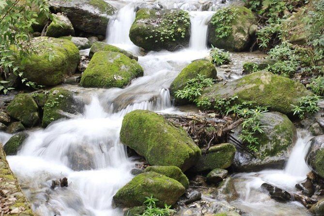 Shivapuri Day Hiking - Key Points