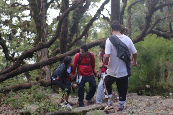 Shivapuri Day Hiking - The Sum Up