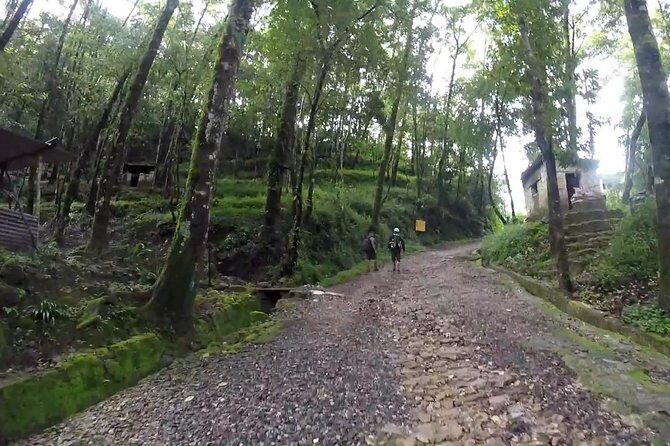 Shivapuri Nagi Gumba Hiking - Who Should Consider This Tour?