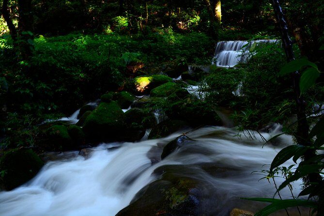 Shivapuri Peak Hike and Sleeping Buddha Sightseeing Tour - What Travelers Say