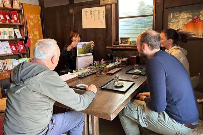 Shizuoka: 6-hour Private Tour & Japanese Tea Farm w/ Vehicle - Value and Pricing