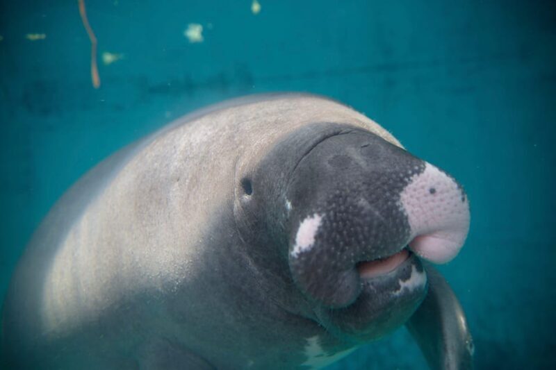 Shizuoka: Atagawa Tropical & Alligator Garden Entrance - Final Word