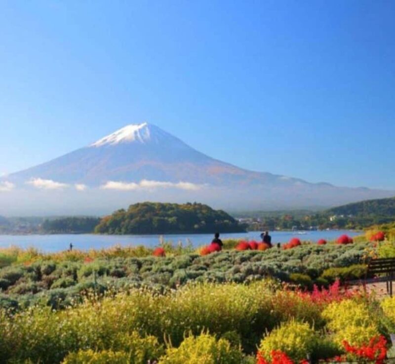 Shizuoka: Mount Fuji & Hakone Private Day Trip - Key Points