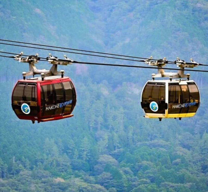 Shizuoka: Mount Fuji & Hakone Private Day Trip - Introduction to the Tour Experience