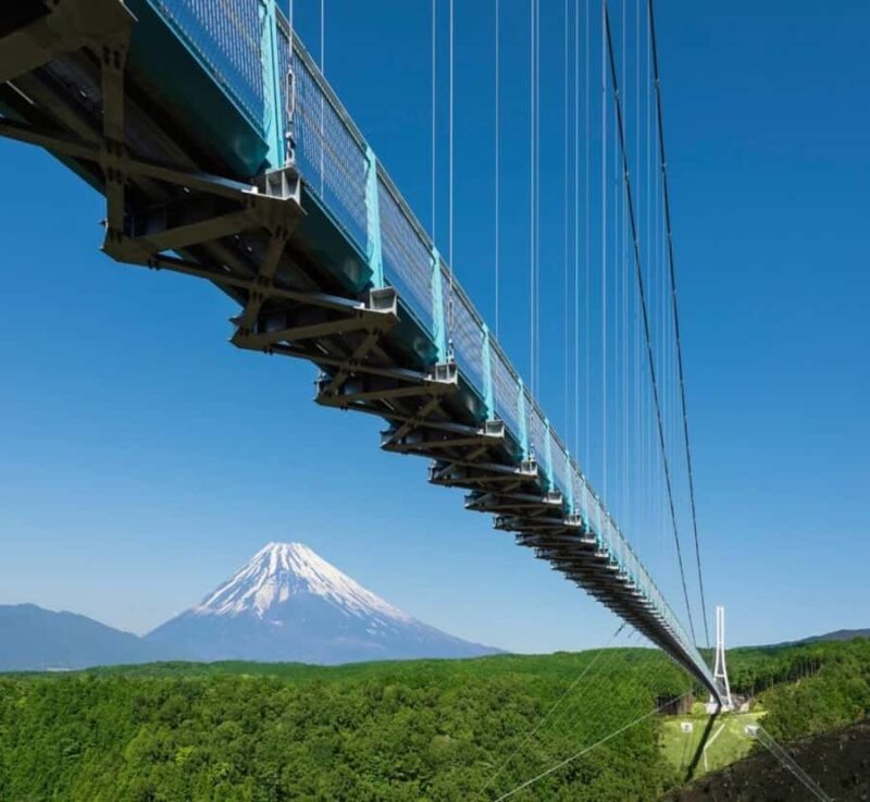 Shizuoka: Mount Fuji Private Full-Day customised Tour - Key Points
