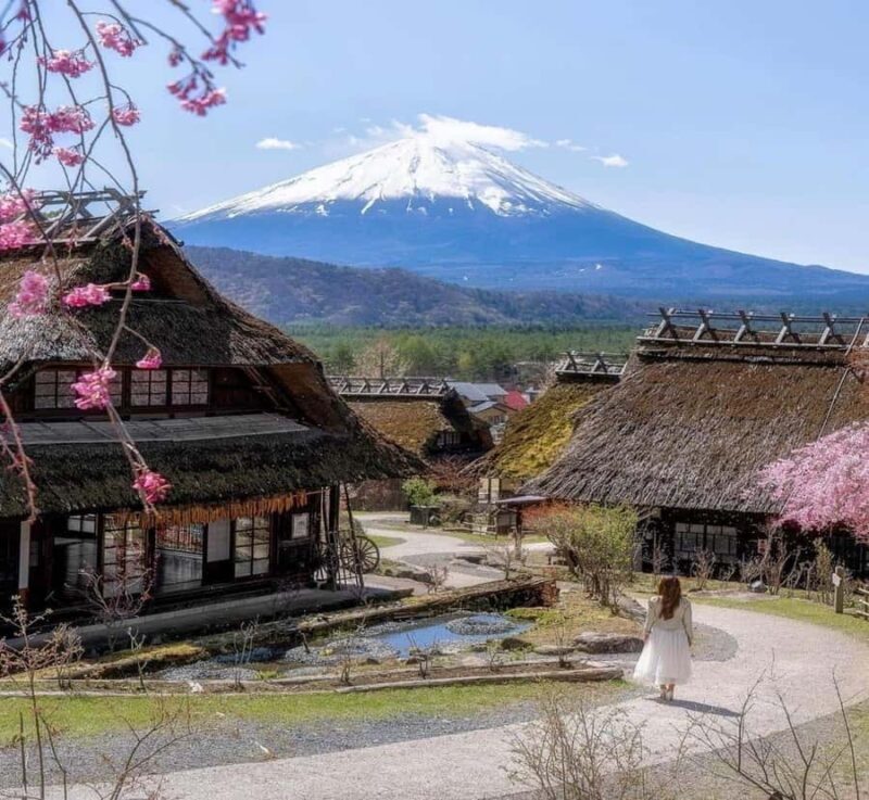Shizuoka: Mount Fuji Private Full-Day customised Tour - The Highlights of the Tour