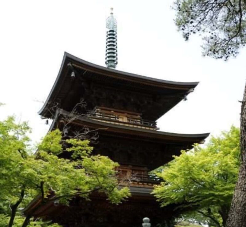 Shizuoka: Nagano private Tour with English speaking guide - Why This Tour Works for Different Travelers