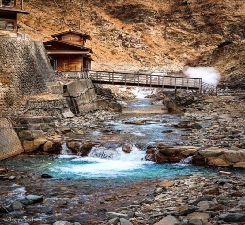 Shizuoka: Nagano Snow Monkey Park Private Day Trip - Exploring Nagano’s Cultural Gems at Your Own Pace