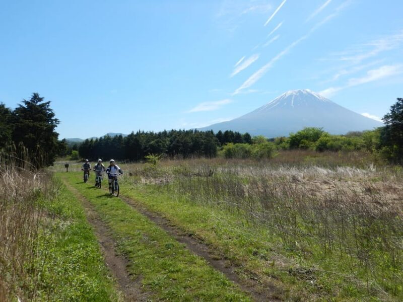 Shizuoka : Private Adventure E-bike Tour around Mt Fuji - What We Loved and What Could Be Better
