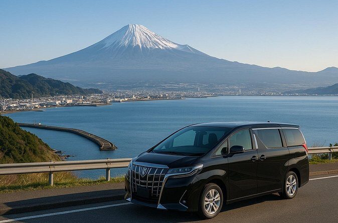Shizuoka Private Vehicle Service with Restaurant Reservation - Navigation, Timing, and Practicalities