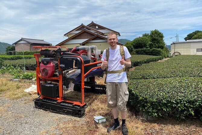 Shizuoka Tea Picking Private Experience - Who Will Enjoy This Tour?