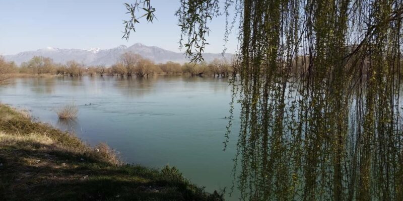 Shkodër Culinary & Wellness Experience  Hidden Gems - Shkodër Culinary & Wellness Experience: A Genuine Taste of the City’s Heart