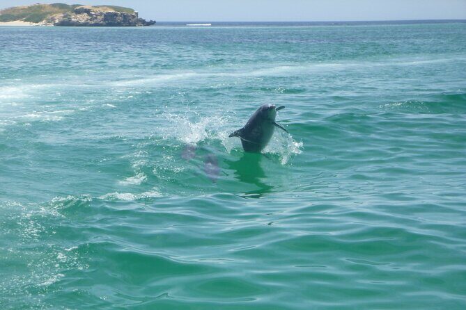 Shoalwater Islands Marine Park Cruise with Lunch - Who Will Love This Tour