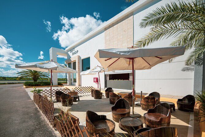 Shopping Tour in Punta Cana with Round Trip Transportation - Who Should Consider This Tour?