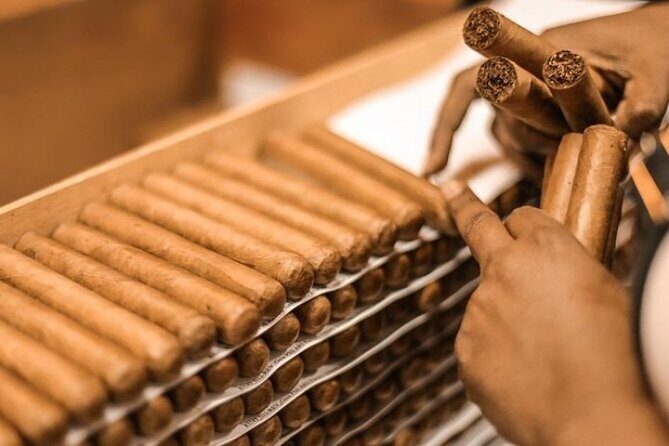 Shopping Tour Punta Cana with private transportation - Why Choose This Punta Cana Shopping Tour?