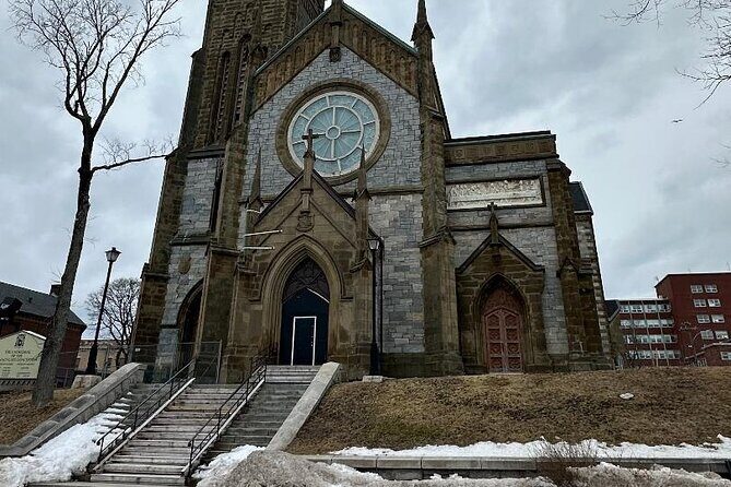 Shore and Hopewell Rocks Guided Tour - How the Reviews Shape Our Understanding