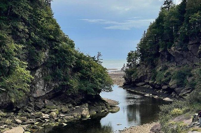 Shore and Hopewell Rocks Guided Tour - Who Will Love This Tour?