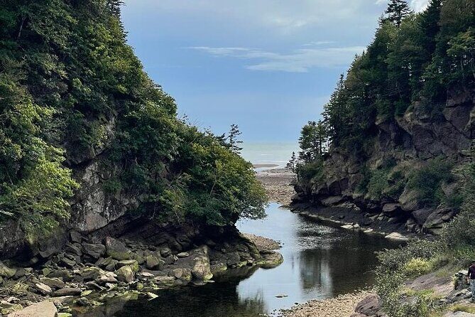 Shore and Hopewell Rocks Guided Tour - The Sum Up: Is It Worth It?