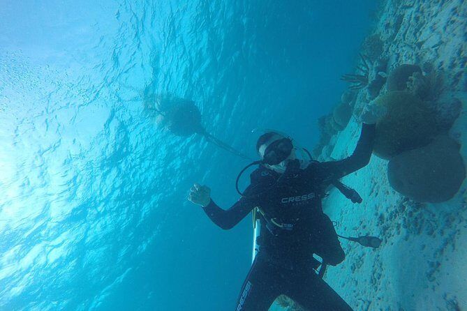 Shore Dive Aruba for Certified Divers - The Dive Center and Location: Setting the Stage