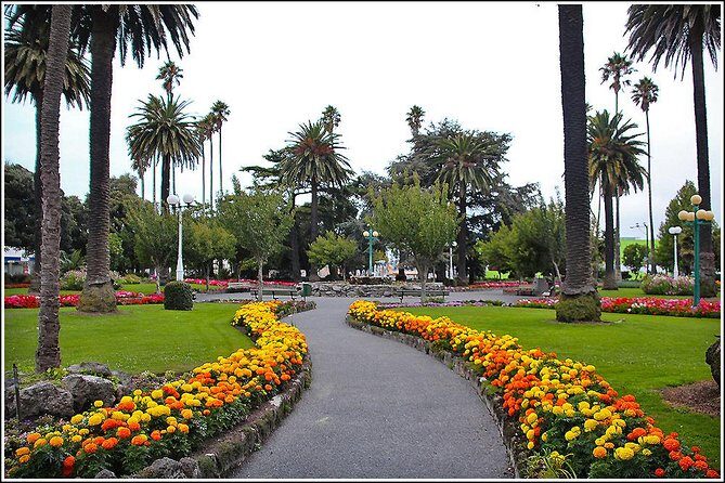 Shore Excursion: 4-Hour Discover Hawkes Bay and Napier Tour - The Value Proposition: Is It Worth It?