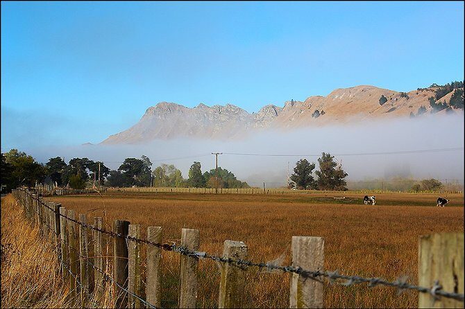 Shore Excursion: 4-Hour Discover Hawkes Bay and Napier Tour - Who Is This Tour Best For?