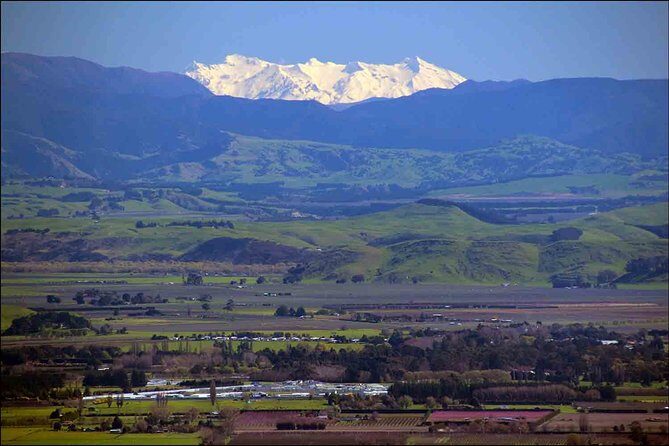 Shore Excursion: 4-Hour Discover Hawkes Bay and Napier Tour - Frequently Asked Questions