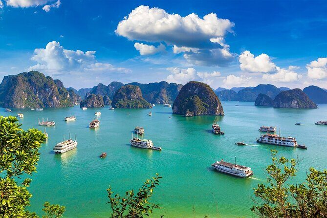 Shore Excursion: Amazing Day Cruise at Ha Long Bay - Key Points