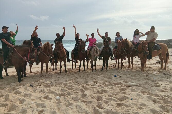 Shore Excursion Arubas Ecological and Beach Horseback Riding - Key Points
