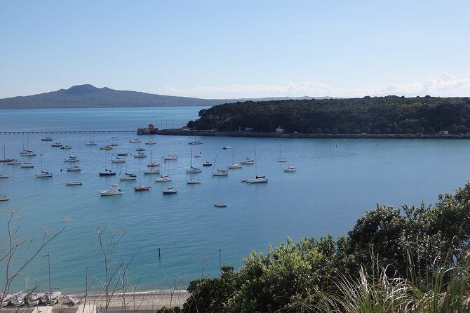 Shore Excursion: Auckland Scenic Full Day Tour - 8 Hours - An In-Depth Look at Auckland’s Best Full-Day Shore Excursion