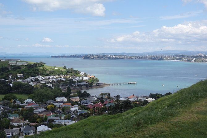 Shore Excursion: Auckland Scenic Full Day Tour - 8 Hours - Muriwai Gannet Colony and West Coast Views