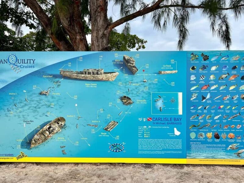 Shore Excursion Barbados Beach Day & Turtle Swim Experience - A Relaxing Day at Carlisle Bay with a Marine Twist