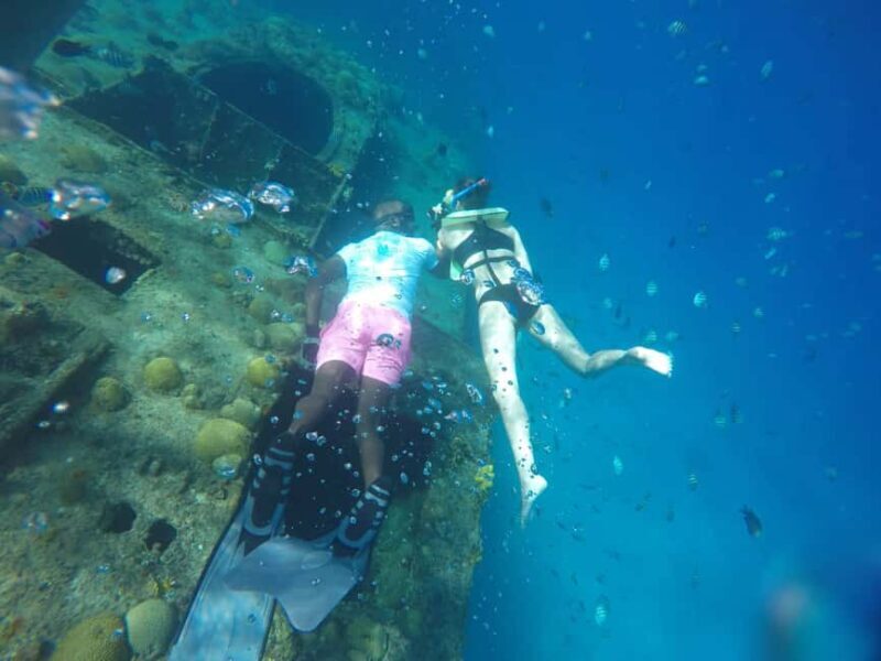 Shore Excursion Barbados Beach Day & Turtle Swim Experience - Who Is This Tour Best For?